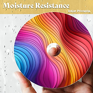 PioData DVD-R 4.7GB 16X Moisture-Resistant White Inkjet Hub Printable Discs | 100-Pack Cake Box Spindle | Printable DVD-R for Inkjet Printers