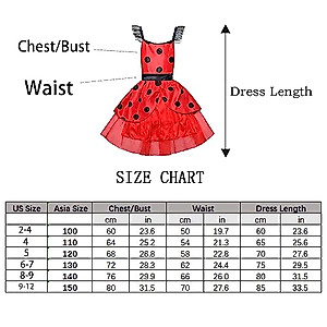 Oilzorr Ladybug Dress Costume for Girls with eye mask and Bag for Birthday Gifts Halloween Christmas 3Pcs Sets (9-10/150)