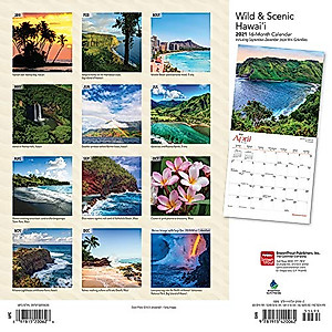 Wild & Scenic Hawaii 2021 Calendar: Foil Stamped Cover