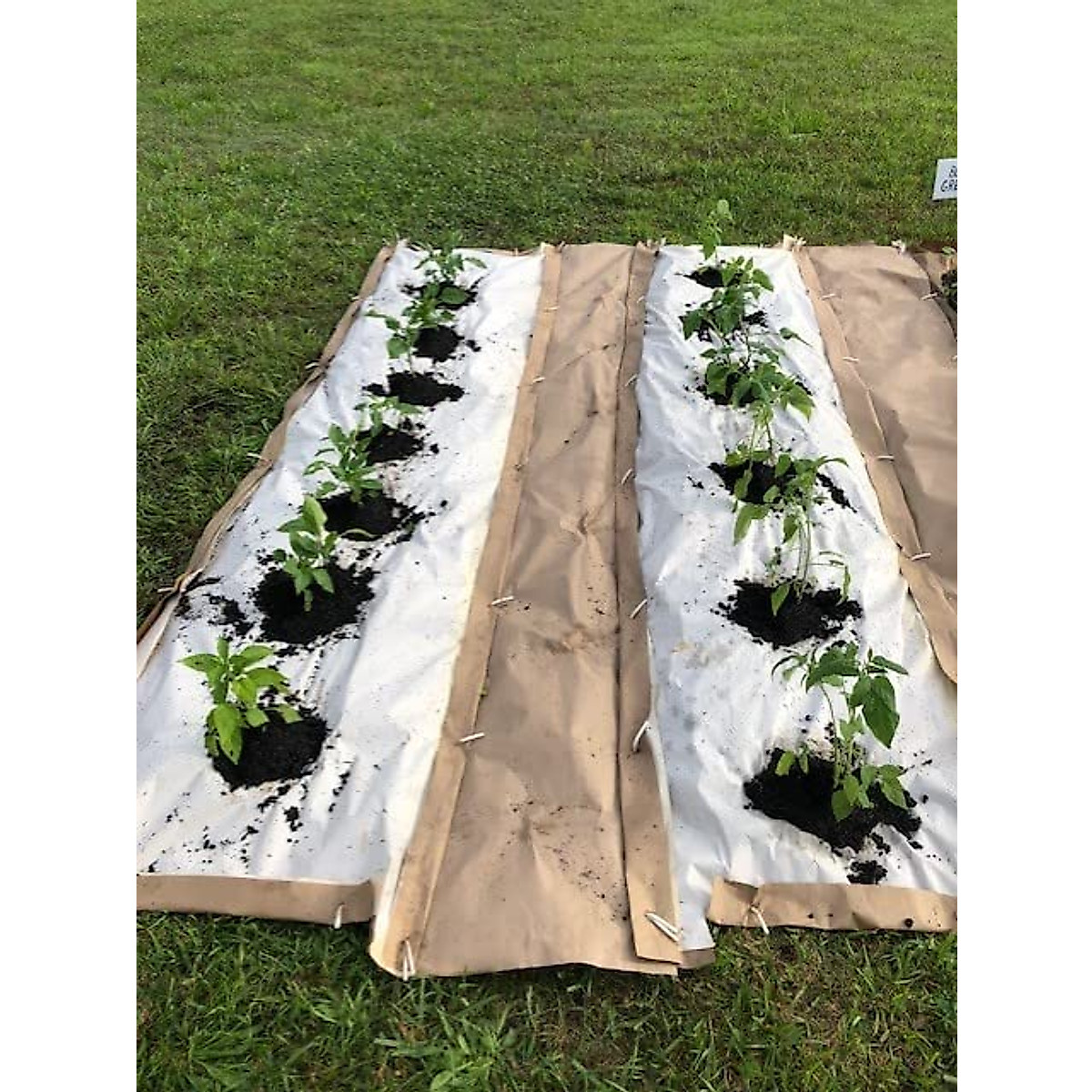 Lazy Crazy Garden - Grow Vegetables & Fruits On Your Lawn - 12x3 FT Biodegradable Garden Bed Soil