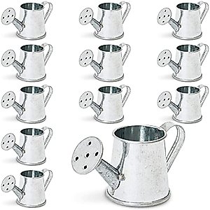 12-Pack Mini Galvanized Watering Can, Decorative Mini Watering Can for Crafts, Party Favors, Housewarmings, Garden-Theme Parties, and Home Decor (Silver, 3x1.6 in)