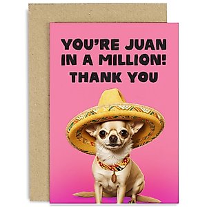 Old English Co. Funny Thank You Card For Him or Her - 'Juan In A Million' Thanks Card for Men and Women - Cute Chihuahua Dog Thank You Greeting Card for Friends Family | Blank Inside Envelope