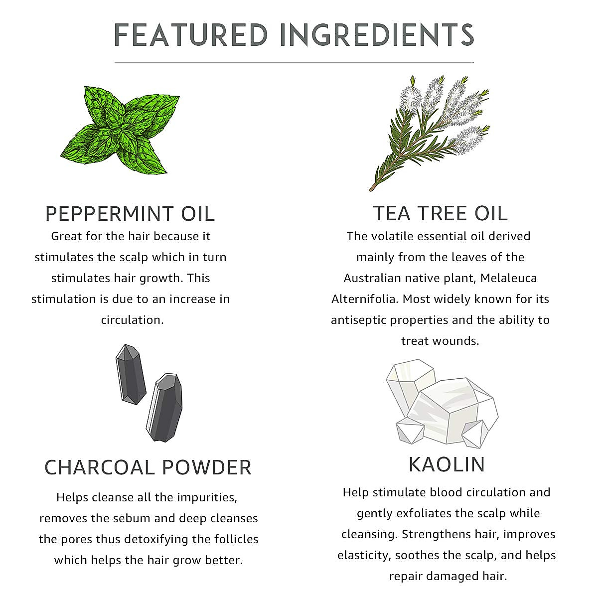 Luseta Charcoal Detox Shampoo for Clarifying, Detoxifies and Volumizing 16.9oz