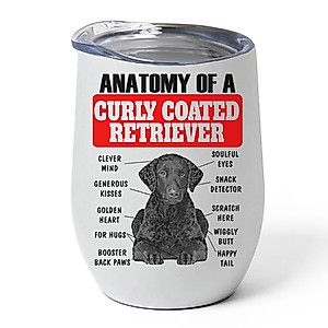 Black Curly Coated Retriever Tumbler 12oz - Funny Anatomy Chart Design - Stainless Steel Vacuum Insulated Wine Cup With Lid - Gifts for Dog Lovers