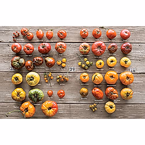 Epic Tomatoes: How to Select and Grow the Best Varieties of All Time