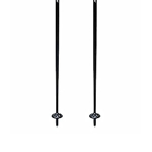 Swix Winter Sports Recreation Competition Downhill Alpine Skiing Groomed Trail Techlite Ms Aluminum Poles