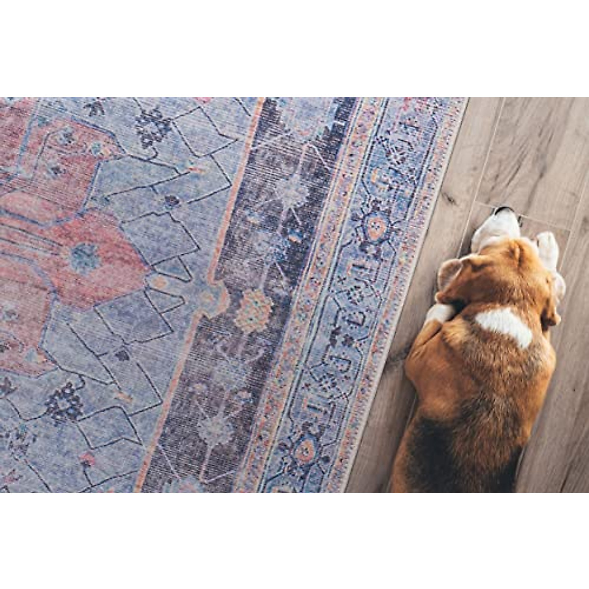 Perga Rugs Machine Washable Area Rug for Bedroom, Kitchen, Bathroom, Living Room, Entryway, Home Decor Non Slip Rug, Pet Friendly & Resistant Throw Indoor Floor Carpet