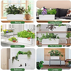 J&C Self Watering Planter, Window Gardening Box, 16x 5.5 Inch, Indoor Home Garden, Modern Decorative Planter Pot for All Indoor Plants, Rectangle, White (Plants Not Included)