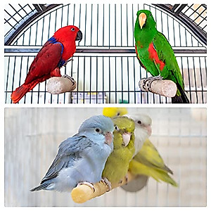 PATIKIL 0.6x7.9 Inch Bird Cage Perch, 2 Pack Parrot Stand Paw Grinding Stick Bird for Parakeet Cockatiel Cage Accessories, Green
