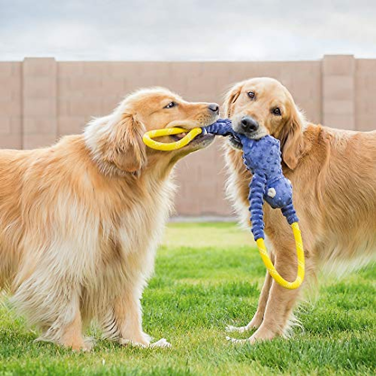 ZippyPaws - RopeTugz Blue Monkey Dog Toy - Durable Rope, Squeaky Chew Toy, Perfect for Tug of War, Suitable for Small, Medium, and Large Breeds - Machine Washable