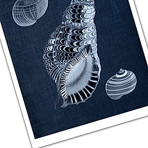 Gnosis Picture Archive Seashells Wall Decor set of 9 Unframed ArtPrints, Navy Blue and White Coastal Wall Decor, Hamptons Style, Coastal Grandma Home Decor Gift