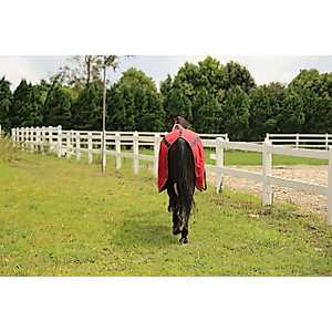 T TEKE Deluxe Horse Canvas Sheet for Snug and Clean in Stable, or as a Blanket Liner. (Size Range 51"-87" Including Mini Horse)