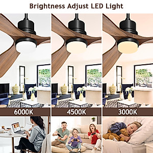 Obabala 52" Ceiling Fan with Lights Remote Control Outdoor Wood Ceiling Fans Noiseless Reversible DC Motor