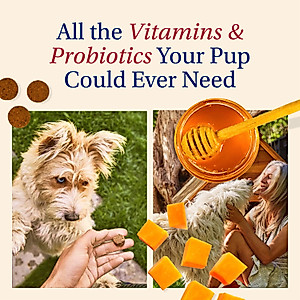 PetLab Co – Multi-Vitamin & Dog Probiotic Bundle: Chewable Multivitamins for Dogs Support Health & Dog Probiotics to Support Itchy Skin, Occasional Loose Stools, and Healthy Yeast Production