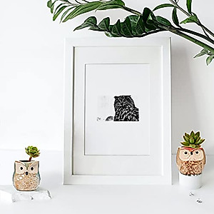 T4U 2.5 Inch Owl Ceramic Succulent Planter Pots with Drainage Hole Set of 12, Flowing Glaze Porcelain Handicraft Plant Holder Container Gift for Mom Sister Aunt Best for Home Office Garden Decoration