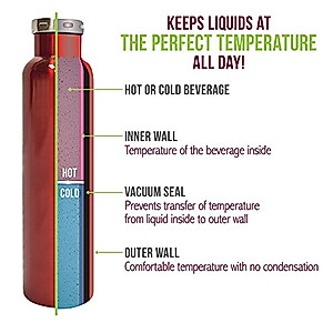 Seven Fifty Shiraz Vacuum-Insulated Stainless Steel Wine Growler - 750 mL Capacity