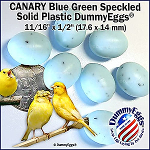 DummyEggs Canary Dummy Eggs Stop Laying! 7 Non-Toxic Solid Plastic Fake Eggs. 11/16" x 1/2" Speckled Blue-Green Plastic, Not Painted. Made in USA Brand