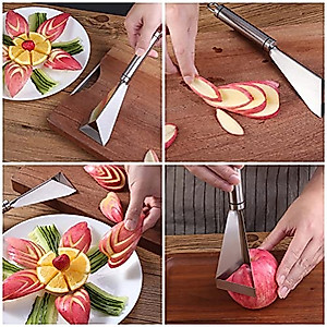 SFNTION Fruit Carving Knife, DIY Platter Decoration Carving Tool for Fruit Vegetable Cutting Knife, Triangular Shape Stainless Steel Food Carving Carving Knife Slicer