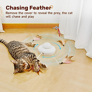 Potaroma Cat Toys Chargeable, 3in1 Hide and Seek Kitten Wand Toy, Interactive Automatic Cats Toy, Fluttering Butterfly, Moving Feather, Indoor Exercise Kicker 22.8 Inches Cover for All Breeds