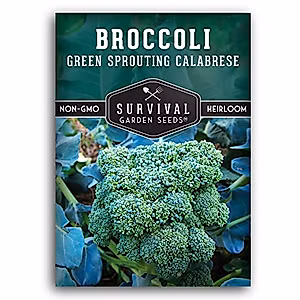 Survival Garden Seeds - Green Sprouting Calabrese Broccoli for Planting - Packet with Instructions to Plant and Grow Delicious Superfood Veggies Your Home Vegetable Garden - Non-GMO Heirloom Variety