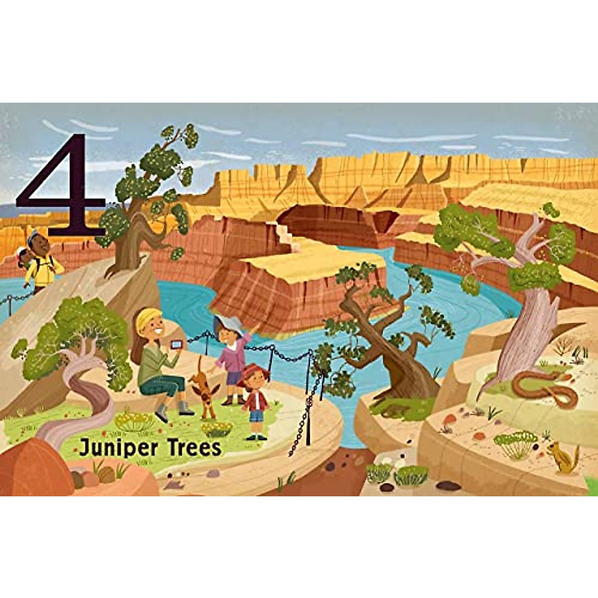 Trees: A Count and Find Primer (BabyLit)