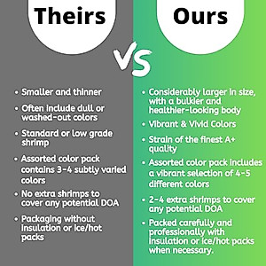 Swimming Creatures 10 Mixed Color Neocaridina Shrimp Skittles Live Freshwater Aquarium Shrimp. Live Arrival Guarantee.