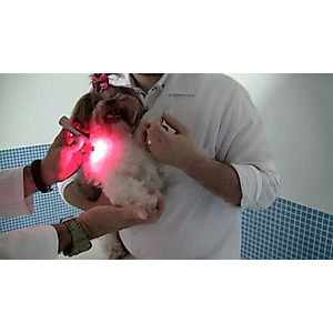 SHINE VETLIGHT Red Light Therapy - Support Recovery in Dogs, Cats, Horses and Other Animals as Used in Vet clinics
