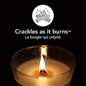 WoodWick 5038581057903 Candle Medium Frasier Fir 92175E, one Size