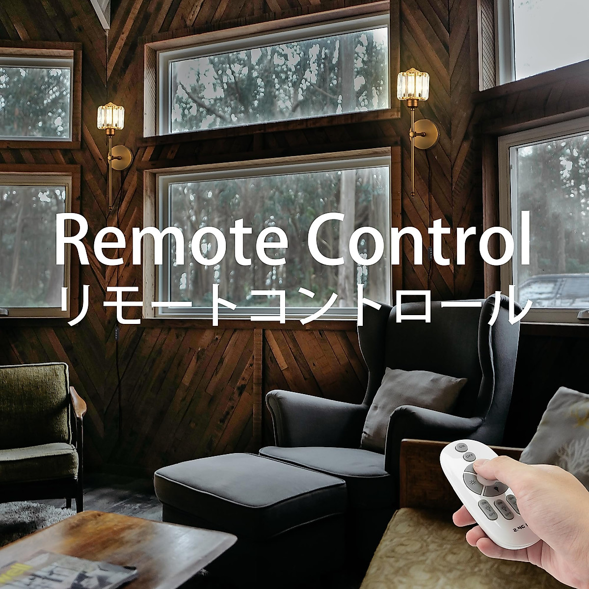 SKIVTGLAMP Industrial Wall Sconce Plug-in Cord with Remote Control, No Drilling Wall Mounted Dimmable LED Edison Bulbs Farmhouse Wall Hanging Upward for Home Decor Gallery Customizable 2 Lights