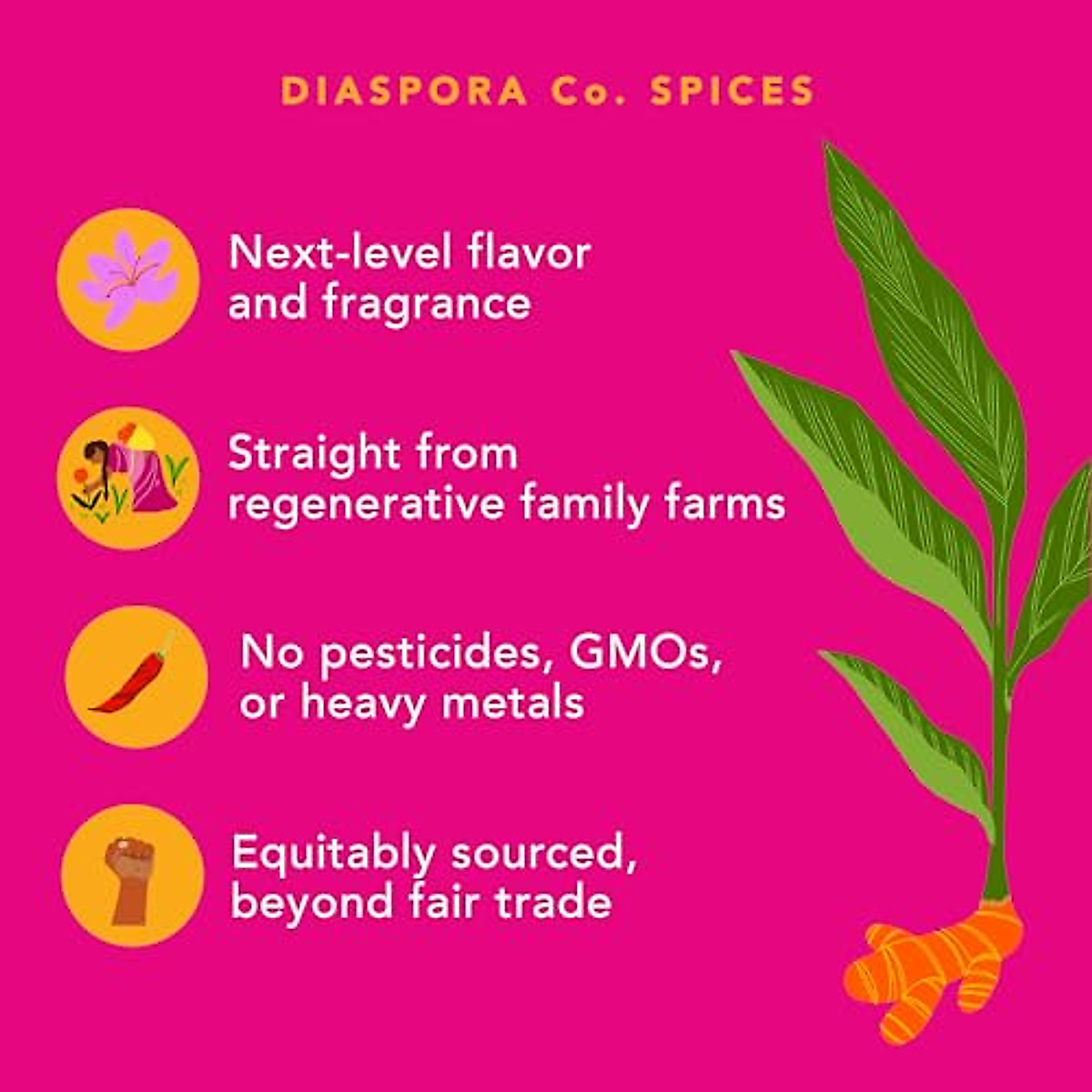 Diaspora Co. Guntur Sannam Chillies | Single-Origin Chili Powder | Medium Heat | All-purpose | 57g Everyday Tin