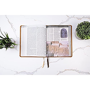 RVR 1960 Biblia ilustrada de la Tierra Santa, café símil piel / RVR 1960 Holy land Study Bible, brown LeatherTouch (Spanish Edition)