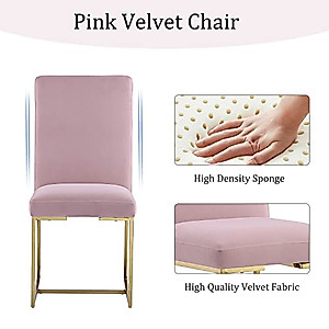 AZhome Dining Chairs, Pink Upholstered Velvet Dining Room Chairs with Mirror Gold Stainless Steel Legs, Set of 4