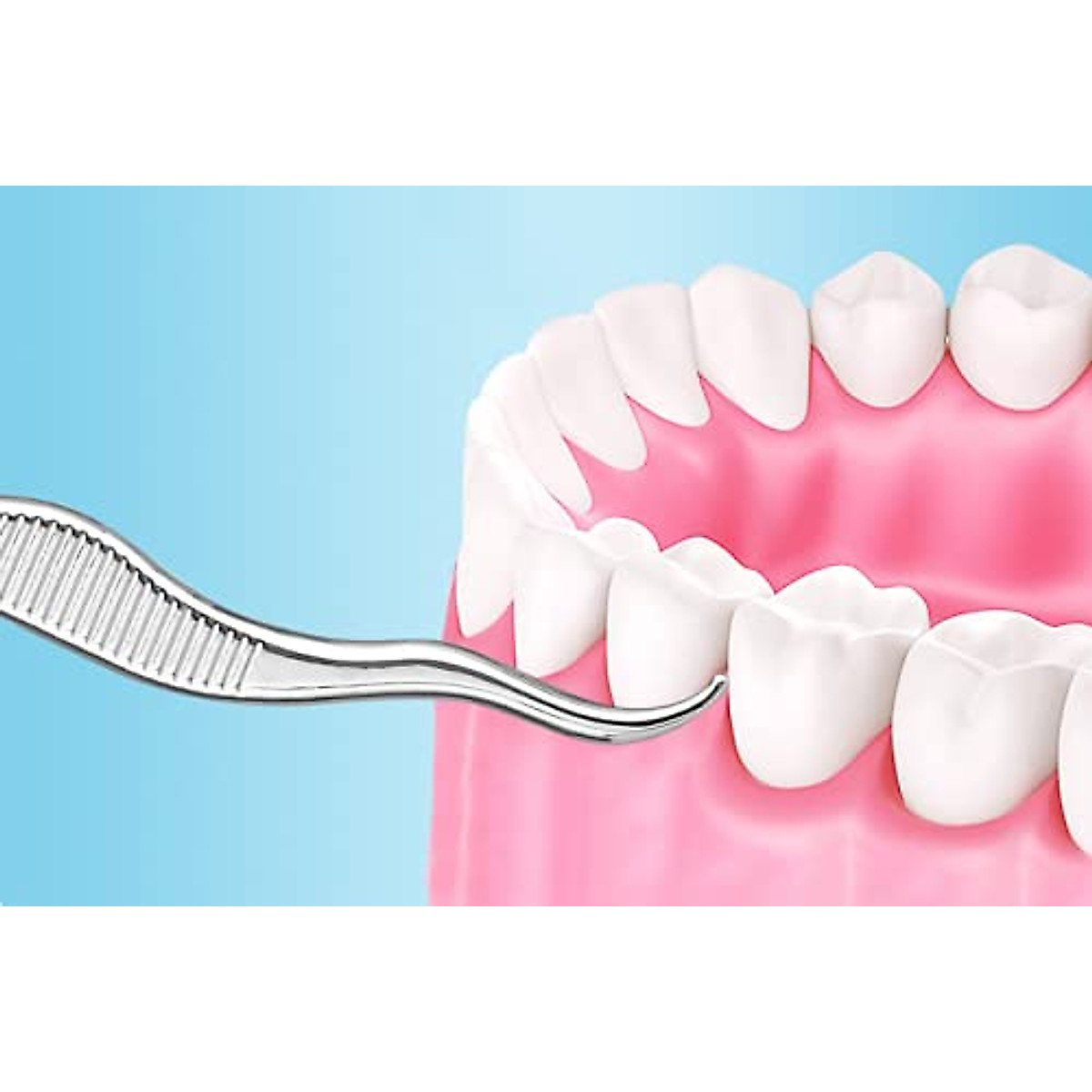 WOIWO 2PCS Stainless Steel Dental Floss Carry Oral Care Floss Cleaning Dental Crevices Tools Portable Dental Floss  