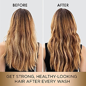 MOEHAIR Travel Kit | Protein Infused Shampoo and Conditioner Set with Frizz Control | Travel Size (3.4 Fl. Oz) Shampoo, Conditioner and Serum