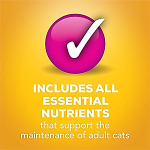 Purina Friskies Gravy Wet Cat Food Variety Pack, Tasty Treasures Prime Filets