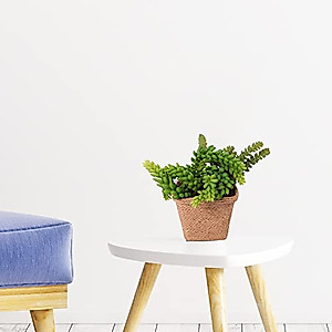 WYSRJ 2Pcs Rattan Waste Basket Bin, Handwoven Rattan Storage Baskets with Liner, Woven Basket Trash Can Bathroom Garbage Container Bin for Bedroom Laundry Room or Kitchen