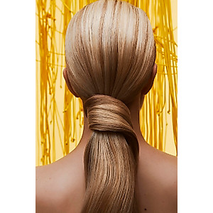 Björn Axén Repair Shampoo - Repairs Dry and Damaged Hair - Enriched with Organic Argan Oil - Strengthens and Hydrates Hair - Leaves Hair Shiny and Renewed - Vegan - Dermatologically Tested - 8.45 oz