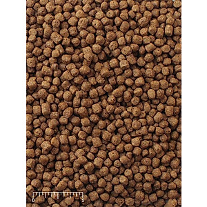 Mazuri | Nutritionally Complete Aquatic Turtle Food | Freshwater Formula - 12 Ounce (12 oz) Bag