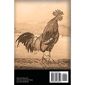 All About Cock: A Cookbook For Lovers of All Variations of Cock (Parody Cookbooks)