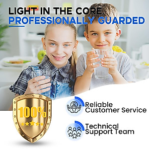 【Upgrade】100186 water filter compatible with Amway espring water filter, effectively removing odors, residual chlorine while allow calcium, magnesium, beneficial minerals pass, Lasting 1year or 5000L
