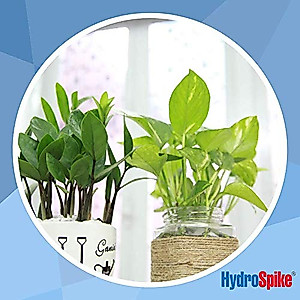 HydroSpike HS-300 (3-Pack) Worry-Free Automatic Plant Watering Devices Kit. Self Auto Waterer Spikes, Bulbs, Stakes Irrigation System for Indoor House Plants, Vacation. No Glass Globe Bottle, Jug, Can