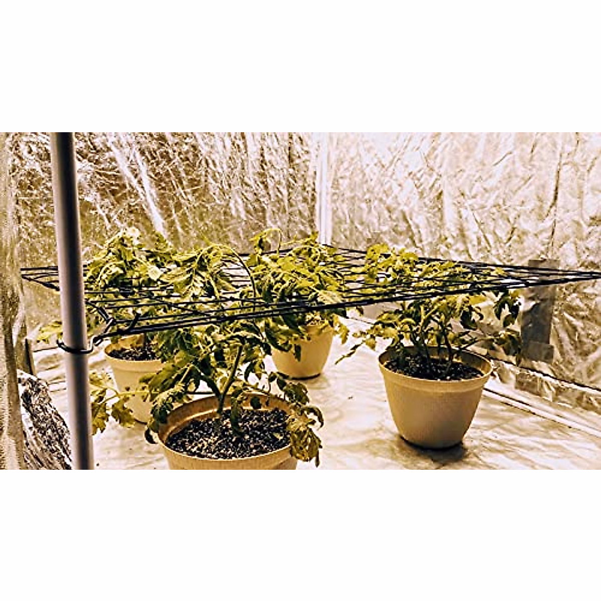 2-Pack Grow Tent Trellis Net for 4x4/5x5 & 4x2 Grow Tents