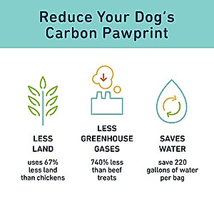 Jiminy's Original Cricket Cookie Dog Treat, Hypoallergenic, 5oz, Peanut Butter & Pumpkin (Pack of 1)