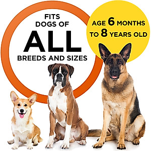 2024 Dog Bark Deterrent Device, Anti-Bark Device for Dog Training & Behavior Aid, No Need to Yell or Pat, Simply Point at The Dog Within 35ft, Ultra-Bright LED Flashlight | Bark Collar Alternative