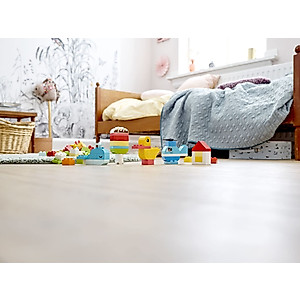 LEGO DUPLO Classic Heart Box, First Bricks Building Toy, Educational Activity and Development Set, Early Learning Toys for Toddlers 1.5-3 Years Old, 10909