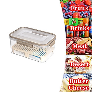 Ice Chilled Snackle Box Container with Ice Pack Portable Cooler Box with Lids & Handle for Camping Picnic Airtight Fruit Storage Containers for Fridge Berry Fresh Keeper for Meal Veggie Snack,Coffee