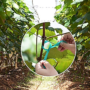 TELENT OUTDOORS Stretch Tie Tape, 1” Wide 200FT Reusable Garden Plant Ties Green Tapes for Plants, Thick Garden Vinyl Stake Ribbon for Branches Flowers Tomatoes Indoor Outdoor Greenhouse