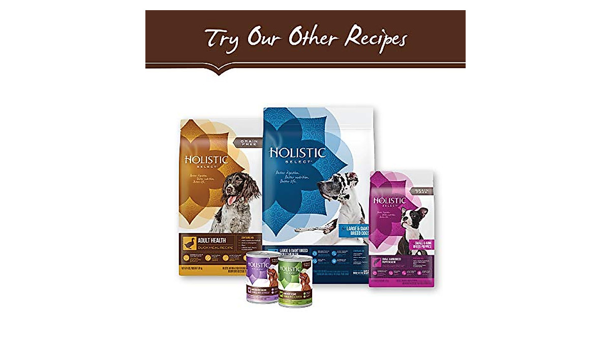 Holistic Select Natural Dry Dog Food – Digestive Health