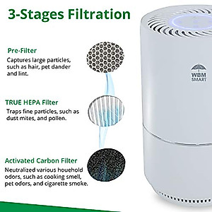 HEPA Filter Air Purifier for Extra Large Room, 25db Quiet Cleaner for Virus, Bacteria, Pollen, Smoke, Dust, White