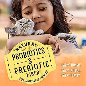 Beyond Purina High Protein, Natural Kitten Food, Kitten Chicken & Oatmeal Recipe - 3 lb. Bag